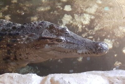 Things To Do In Rural Fylde | Discover Fylde