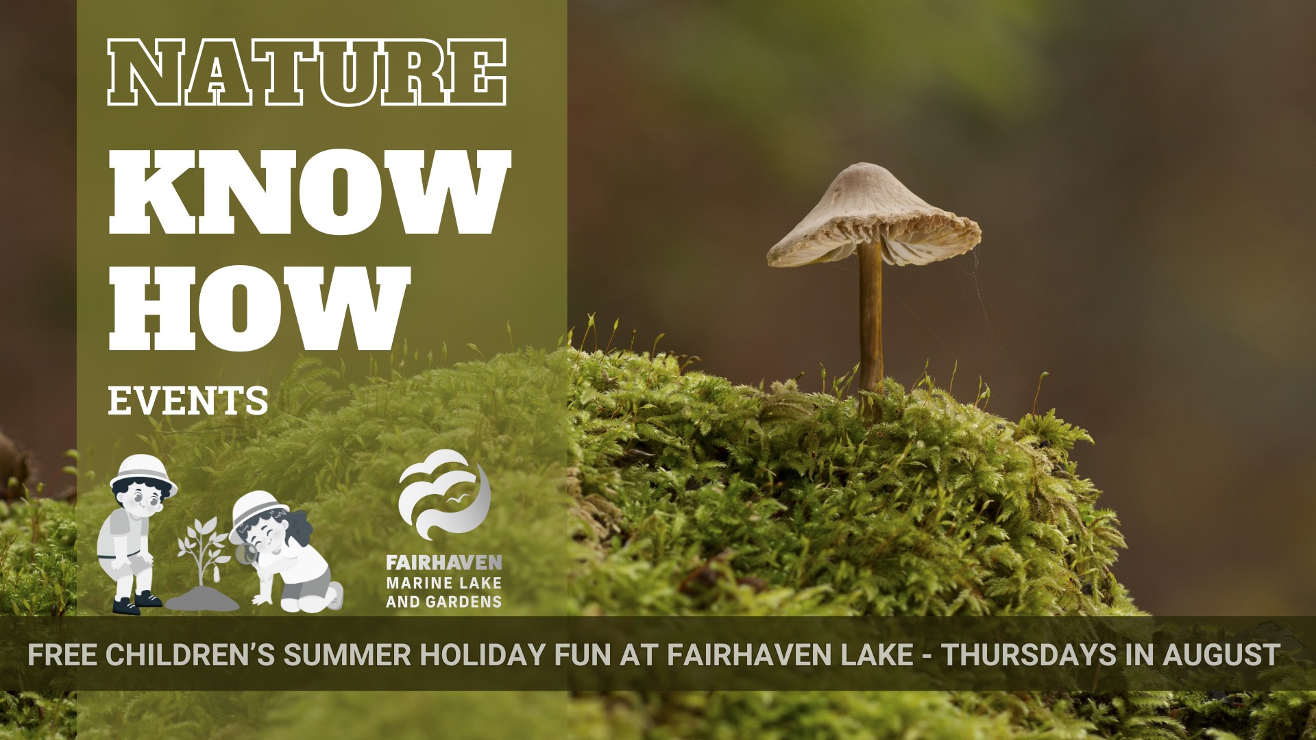 Nature Know How - Free Summer Activity @ Fairhaven Lake - Discover Fylde